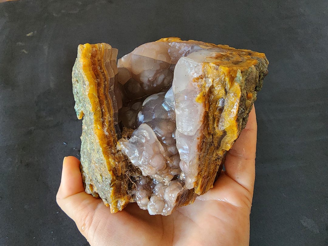 Agatized Petrified Wood Limb Cast, Botryoidal Agate Chalcedony, Fossil ...