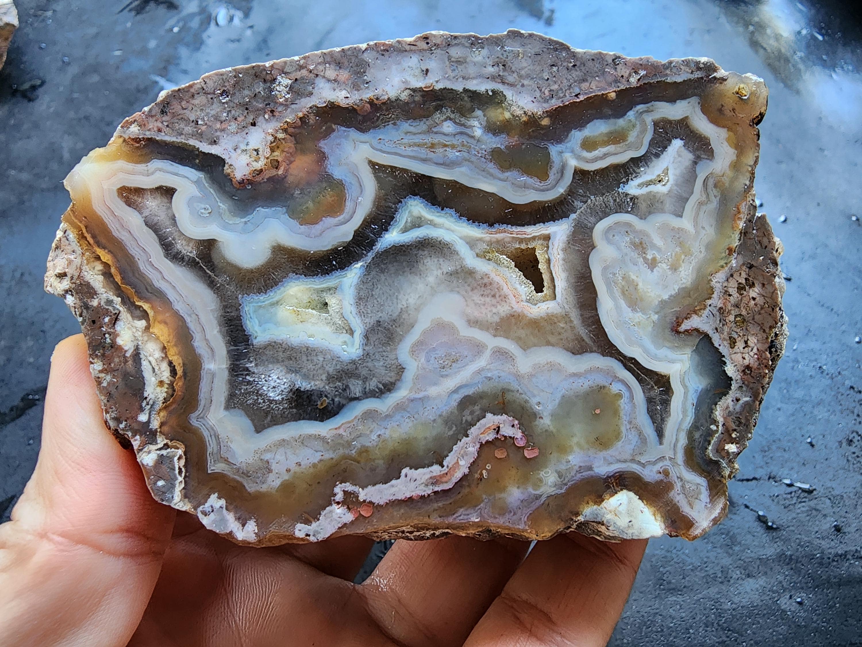 Cut Thunder Eggs, Cut Thundereggs, Decorative Rocks, Thunderegg, Office ...