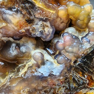 Uncut Agate, Healing Stones, Bubble Agate, Agaat, Energy Stone ...