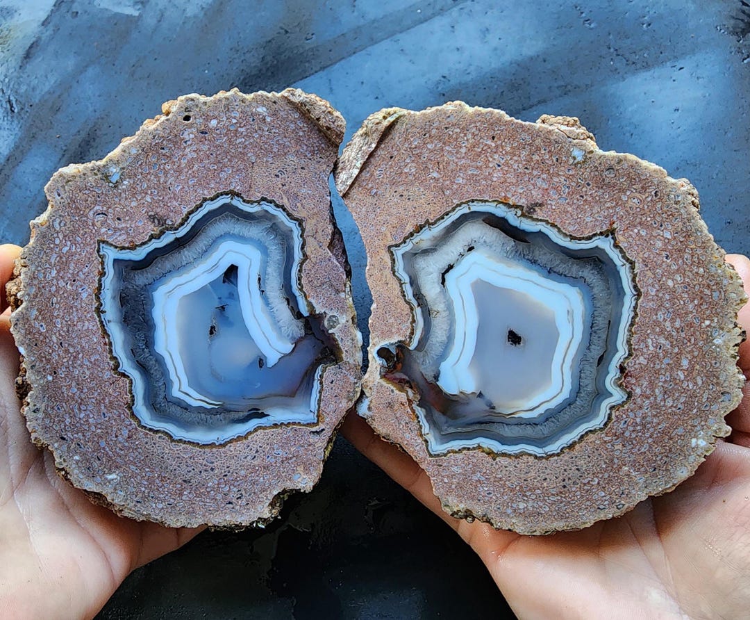 Geology Art, Thunderegg, Thunder Egg, Cut Agates, 異質晶洞, Geology Gift ...