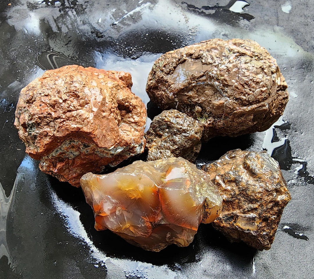 Uncut Agate, Thunder Egg, Agate Nodules Rough, Rock Lot, Agate Nodule, Thunderegg Geode, Agate ...