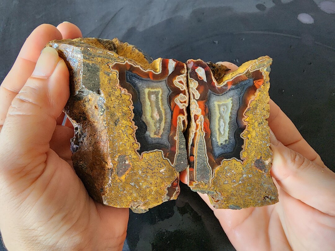 Unpolished Brecciated Plume Agate Pair, Collectible Floater Agate, 25. ...