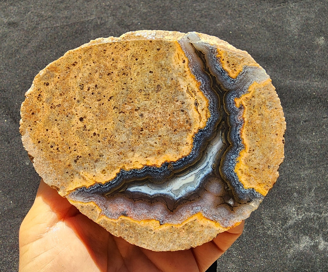 Dolphin & Whale Agate Pair, Thunder Egg, Agate Pair, Rock Decor ...