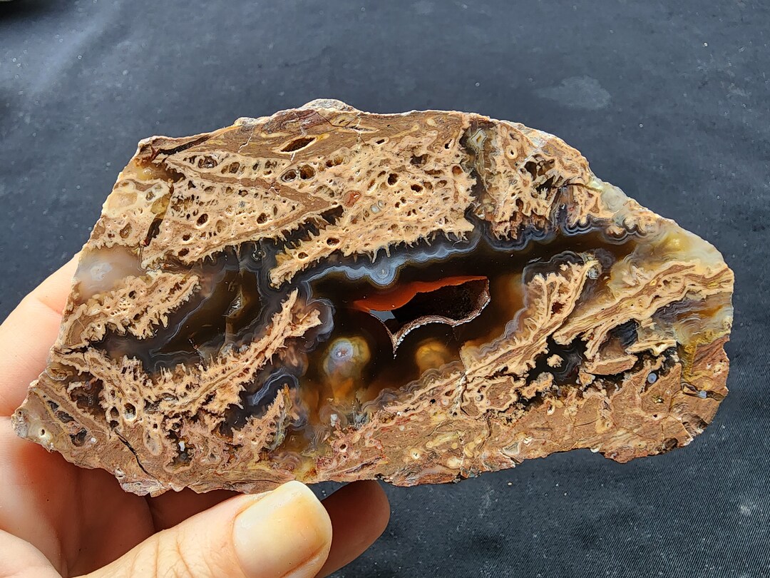 Thunderegg, Agate Geode Rocks & Geodes, Red Agate Home Decor, めのう, 玛瑙 ...