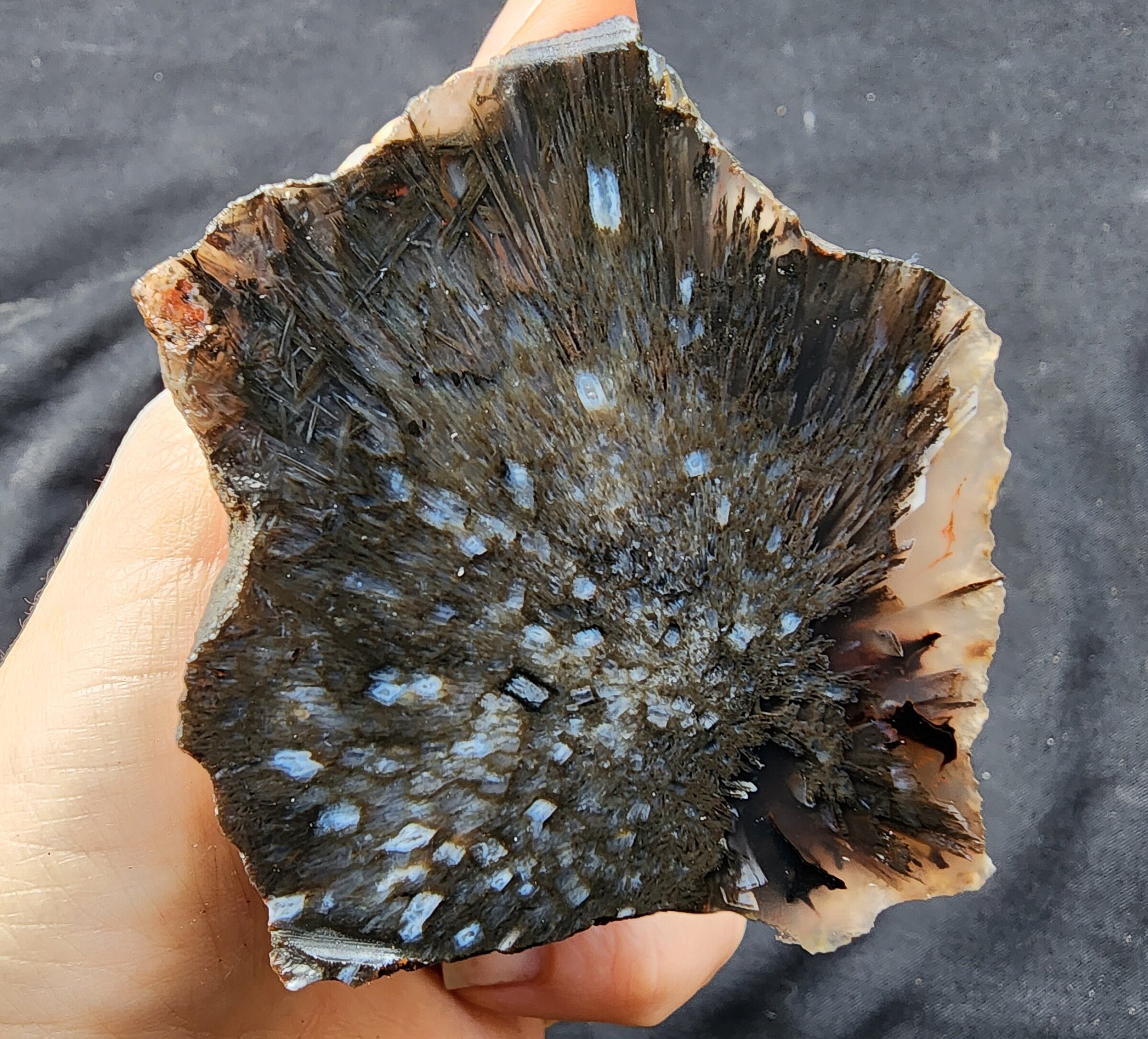 Rocks & Geodes, Black Agate Pair, Rockhound Gifts, Black Agate, Natural ...