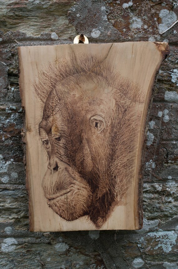 Handcrafted Original Pyrography Orangutan Created on Lime Wood | Etsy