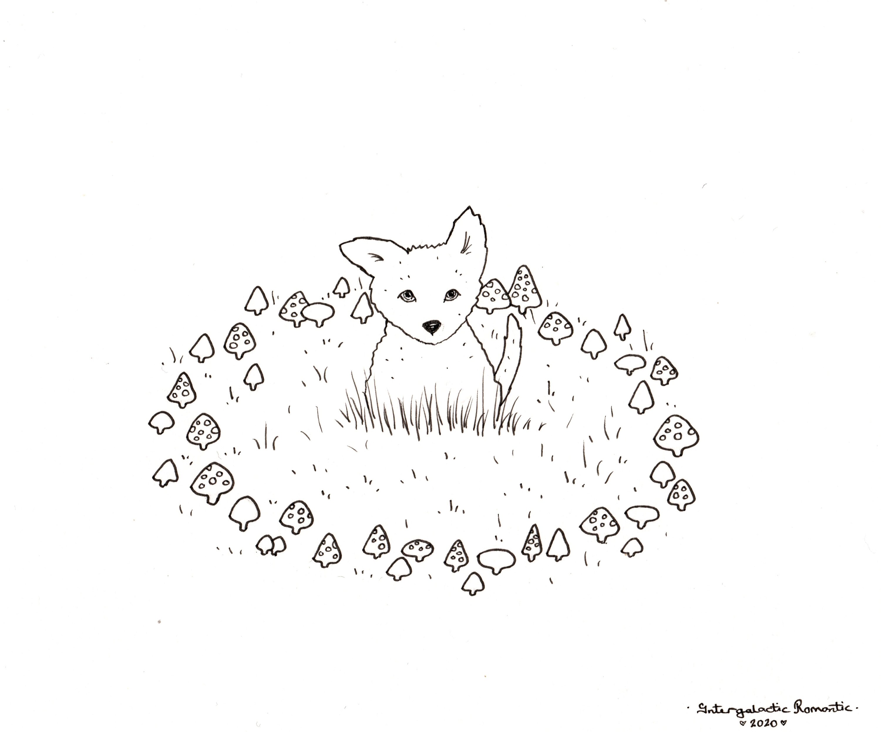 Fairy Ring Animals Various Original Signed Art Ink Drawings - Etsy UK