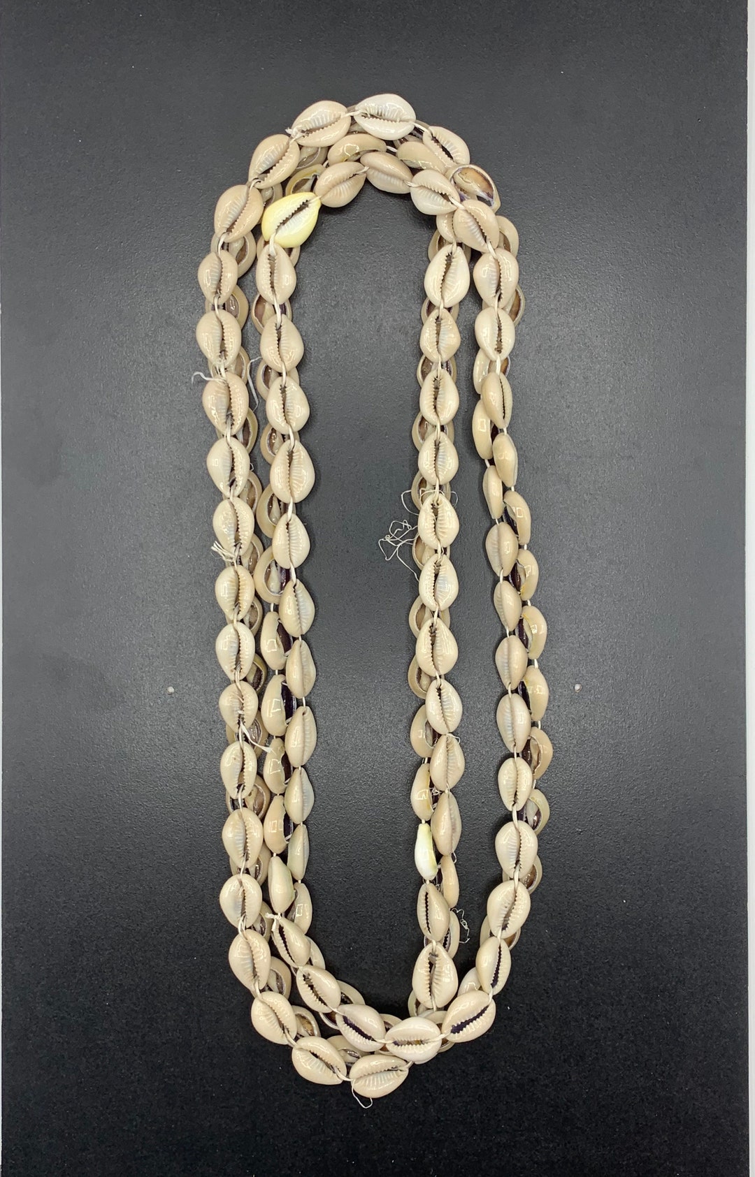 Cowrie Shell Necklace Comes in 3 Sizes - Etsy