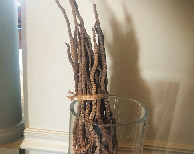 Twig Bundle 25 Pieces 15" to 16" Natural Rustic Decor Tablescapes Wood ...