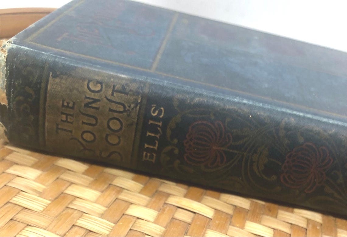 Vintage Story US Army West Point Lieutenant Antique Book Edward S ...