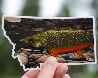 Brook Trout Sticker - Etsy