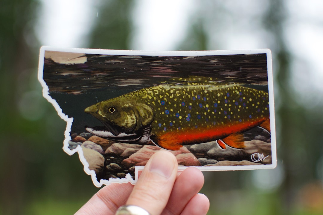 3" or 5" Decal Sticker - Brook Trout - Etsy