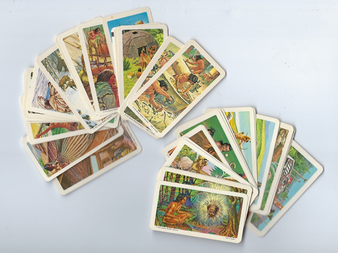 Brooke Bond Red Rose Tea Cards for Collecting Complete Set of 48 for ...