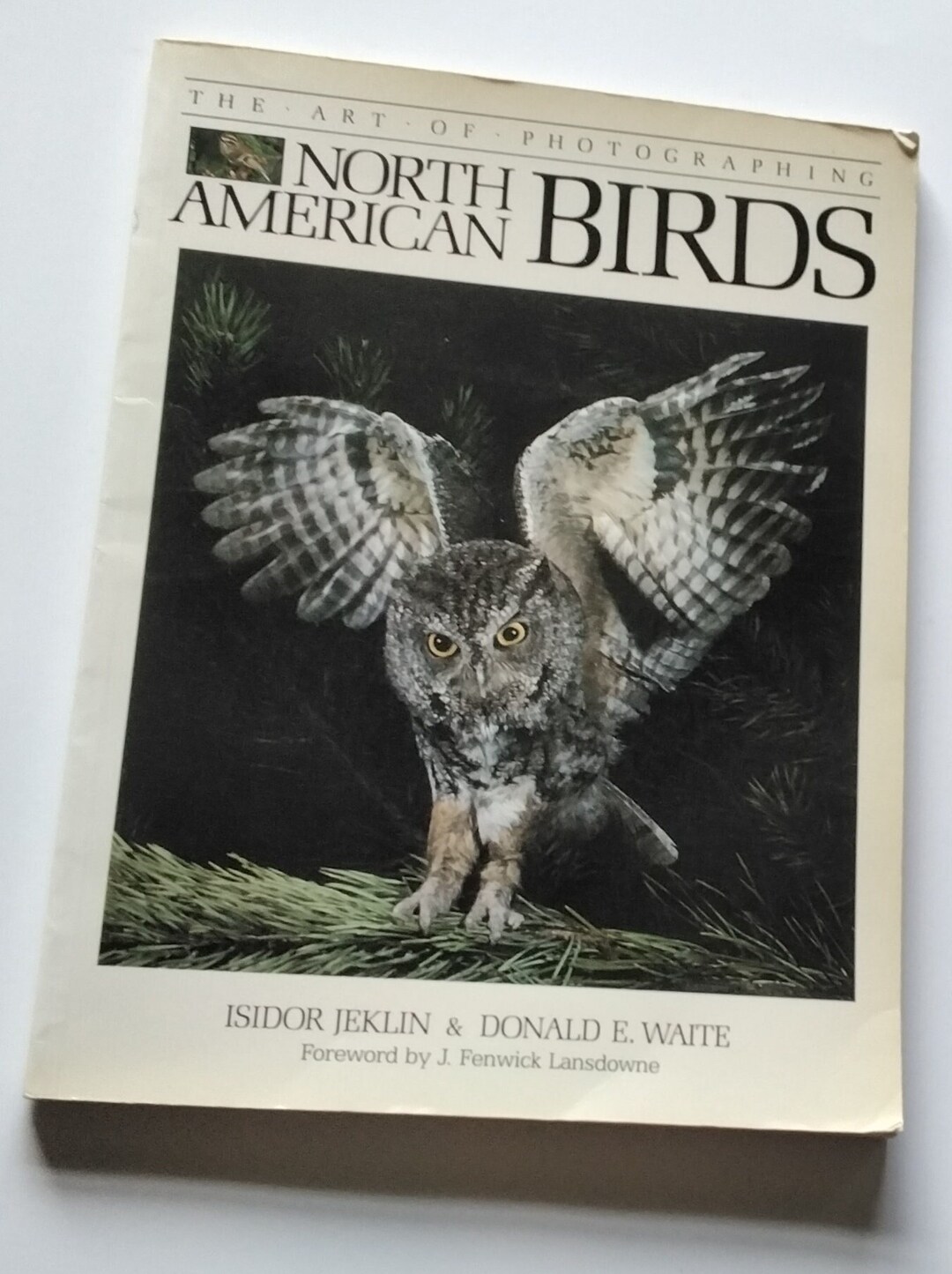 The Art of Photographing North American Birds Book by Isidor - Etsy