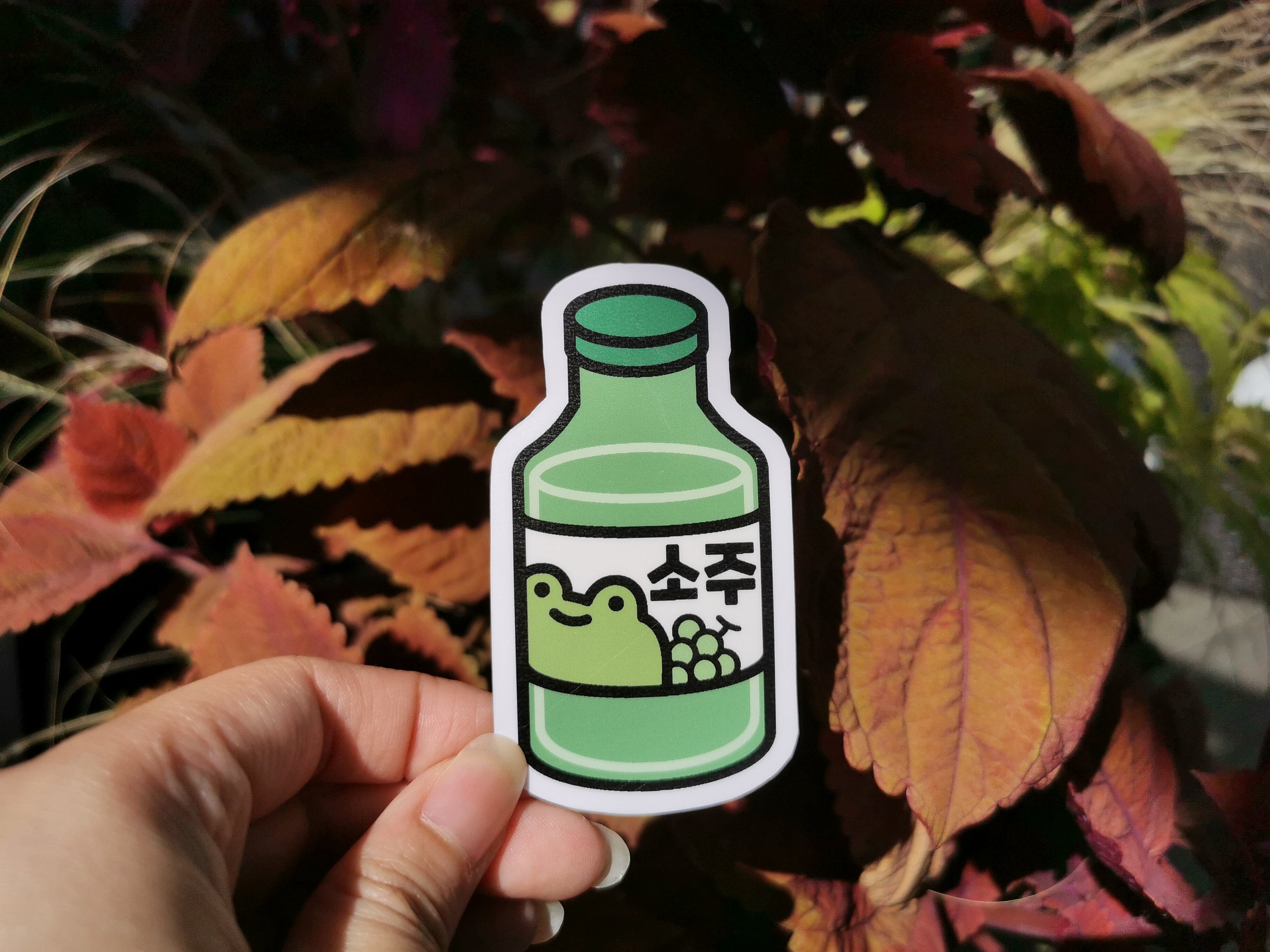 Froggy Soju Sticker | Cute Korean Soju Bottle Sticker, Green Grape Soju ...