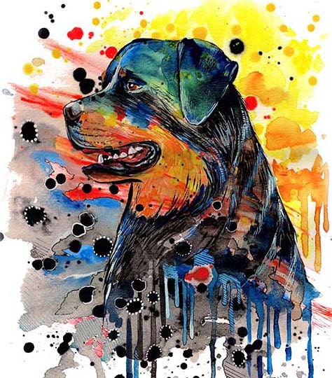 Rottweiler Modern Art Print Dog Art Print Fine Art Print - Etsy