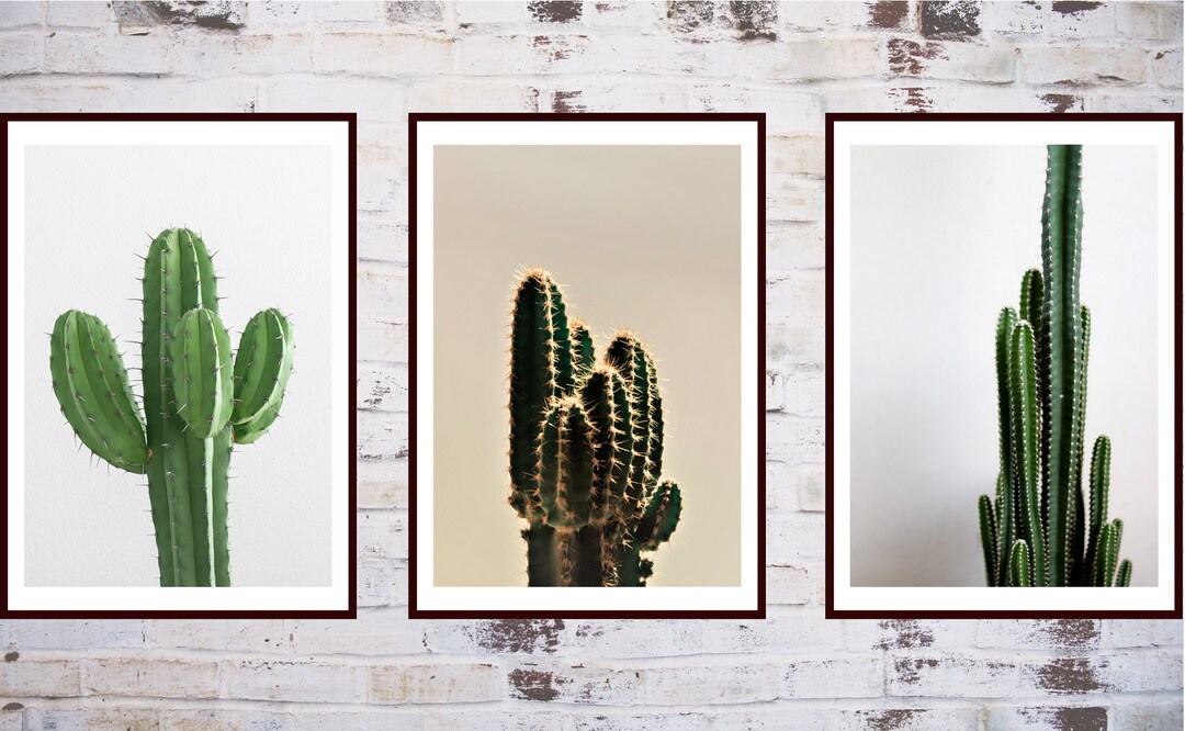 Cactus Prints Set of 3 Botanical Posters. Plant Leaf Picture Wall Art ...
