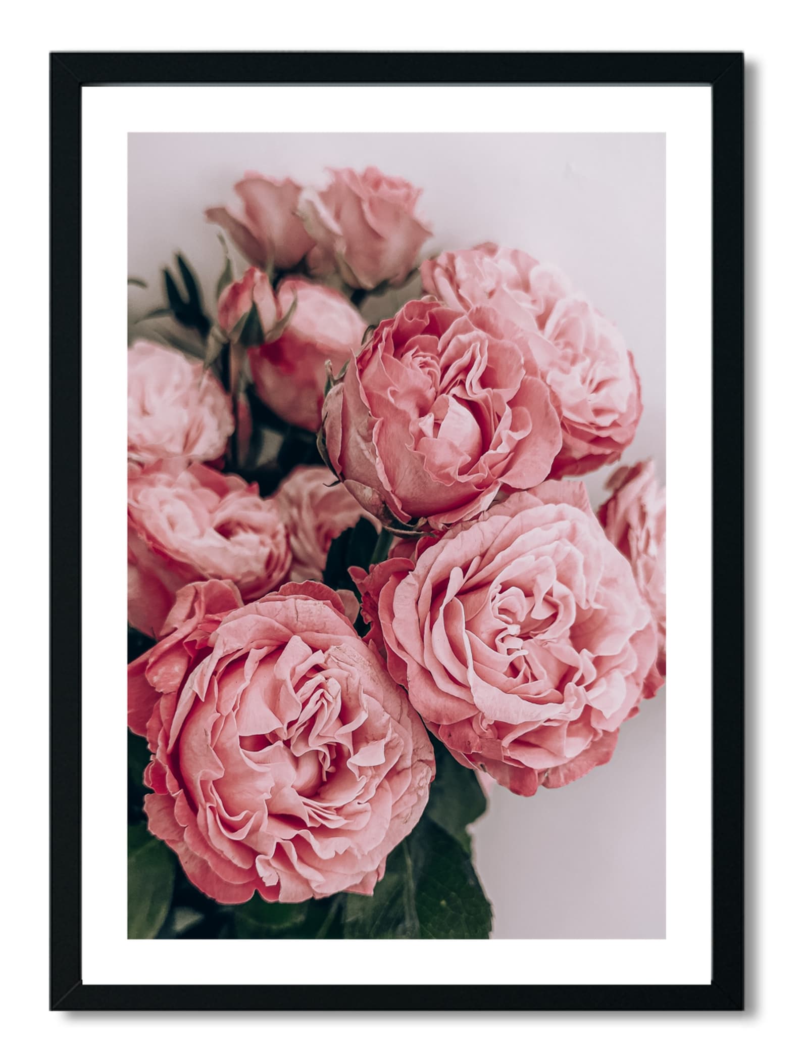 Pink Roses Flower Poster Print Art. Flower Botanical Garden High Res ...