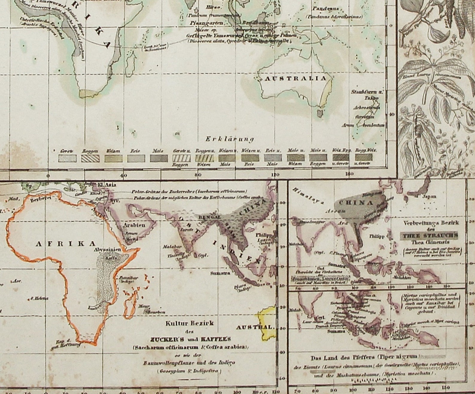 Rare 1839 World Map: Cultural Crop Distribution, Antique Botanical ...