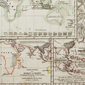 Rare 1839 World Map: Cultural Crop Distribution, Antique Botanical ...
