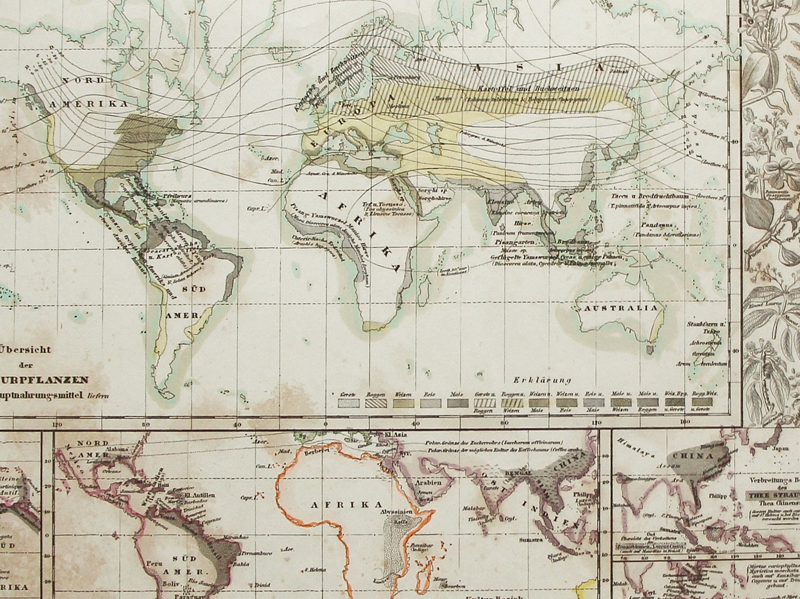 Rare 1839 World Map: Cultural Crop Distribution, Antique Botanical ...