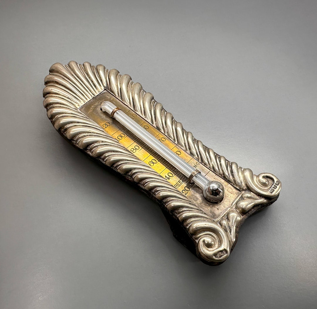 Beautiful Silver Thermometer Fahrenheit Thermometer, Perfect Gift - Etsy