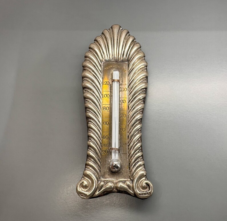 Beautiful Silver Thermometer Fahrenheit Thermometer, Perfect Gift - Etsy
