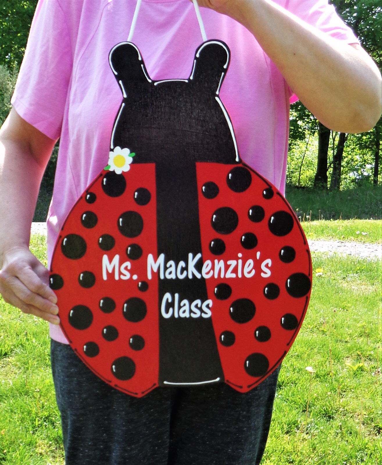 18 LADYBUG TEACHER SIGN Wall Art Hanger Plaque Decor Hand Painted ...