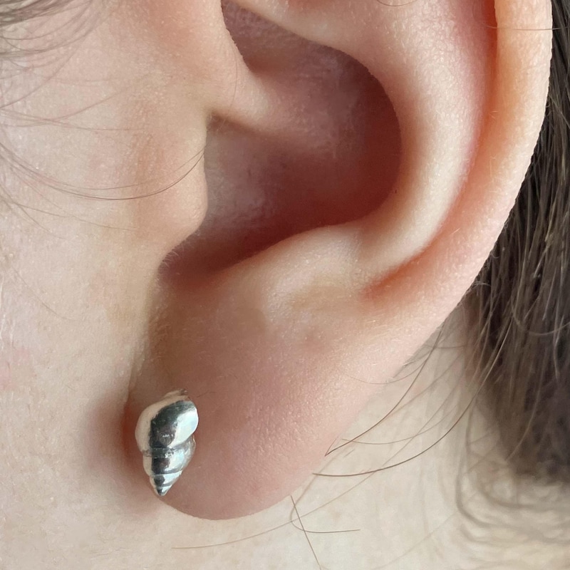 Seashell Earrings - Etsy