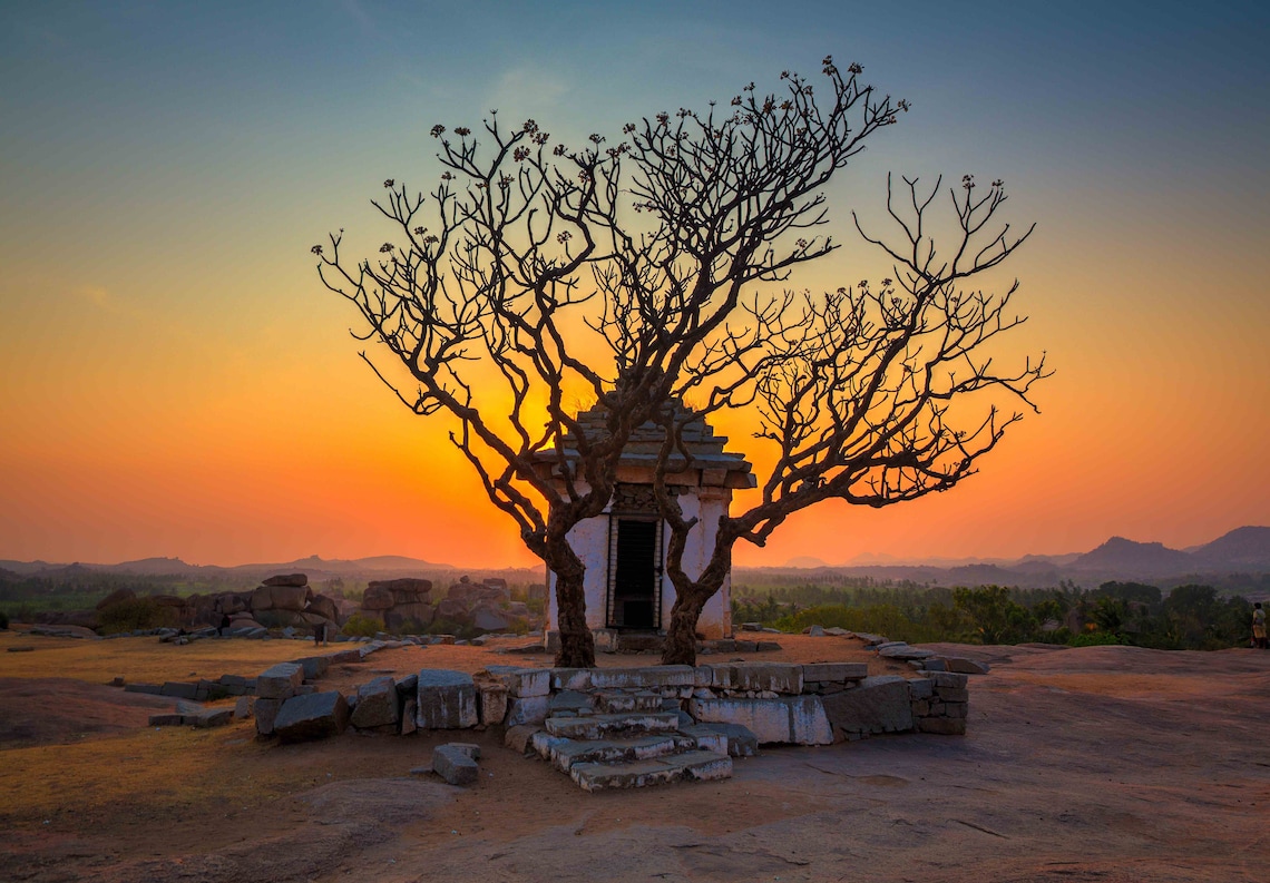 Hampi Tree Photography Print Nature Landscape Sunset - Etsy