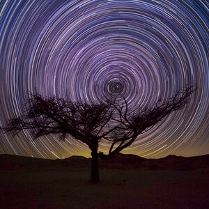 Star Trail Tree, Astrophotography, Color Photography, Wall Art, Art ...