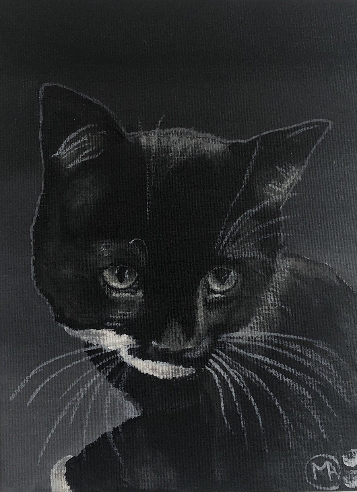 Tuxedo Cat Portrait, 9" X 12", Canvas, 2018 - Etsy