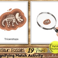 Printable Ocean Fossil Matching Game - Palaeontology Activity for Kids ...