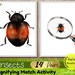 Community Helpers Preschool Sorting Mats, Montessori Printable ...