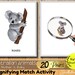 Insects Matching Activity Cards, Mini Beasts Montessori Printable ...