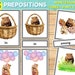 Preposition Flashcards Dog Unit Study Preschool Printable Activity ...