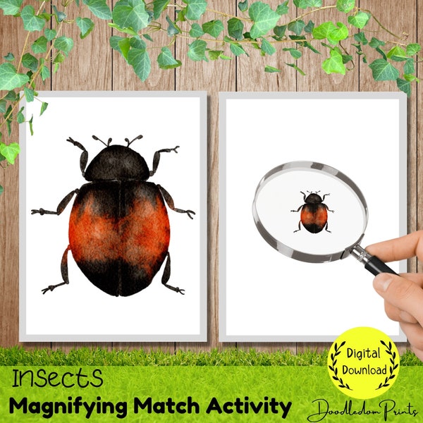 Montessori Activity Toddler - Etsy