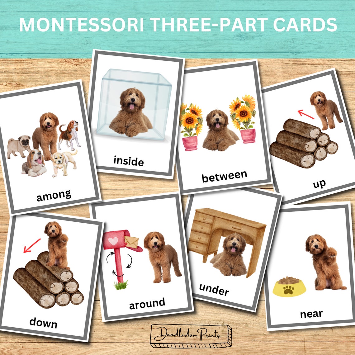 Preposition Flashcards Dog Unit Study Preschool Printable Activity ...
