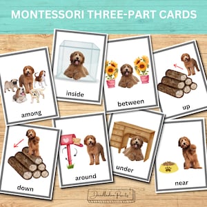 Preposition Flashcards Dog Unit Study Preschool Printable Activity ...