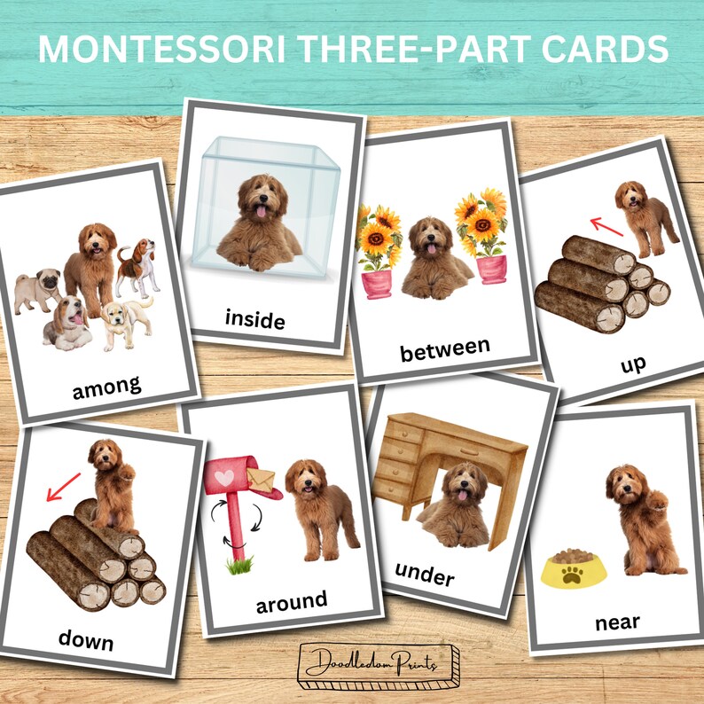 Preposition Flashcards Dog Unit Study Preschool Printable Activity ...