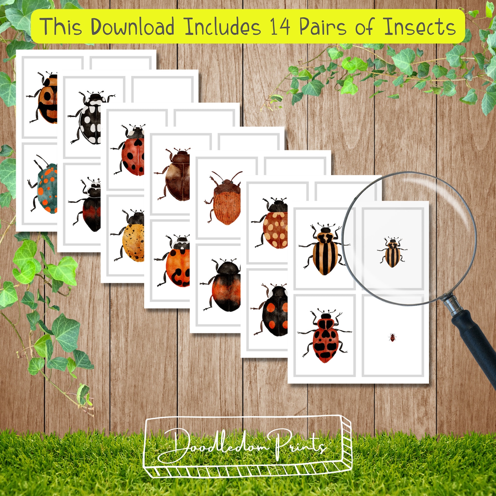 Insects Matching Activity Cards, Mini Beasts Montessori Printable ...