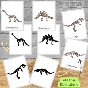 Dinosaur Fossils Shadow Matching Activity Printable Montessori Material ...