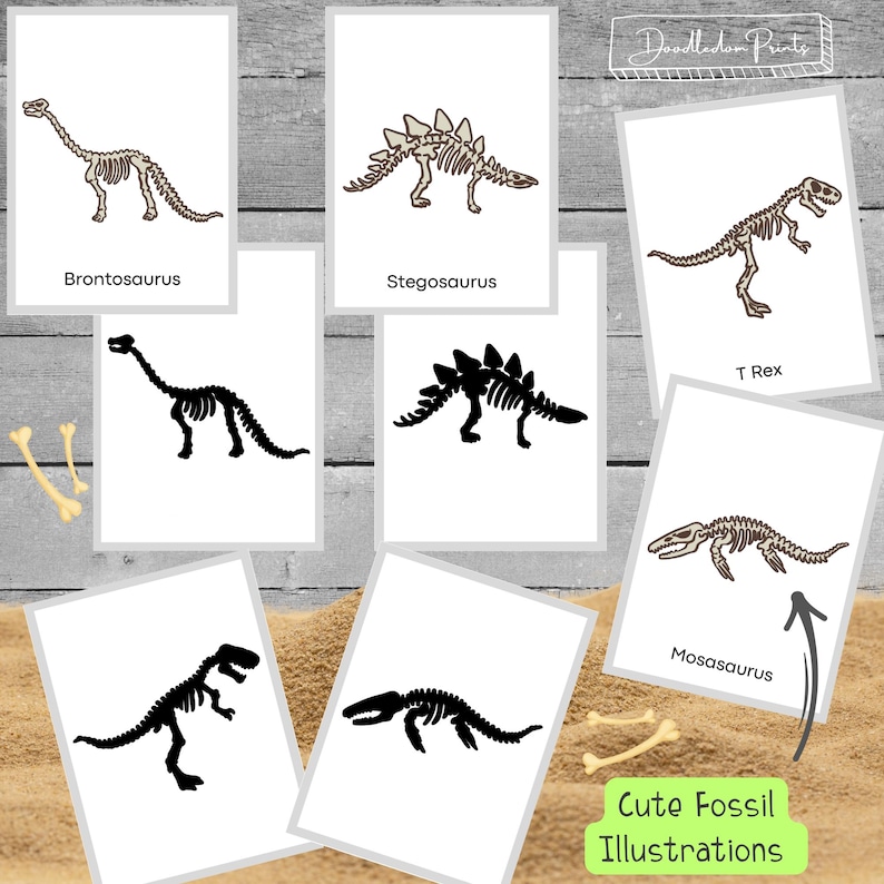 Dinosaur Fossils Shadow Matching Activity Printable Montessori Material ...