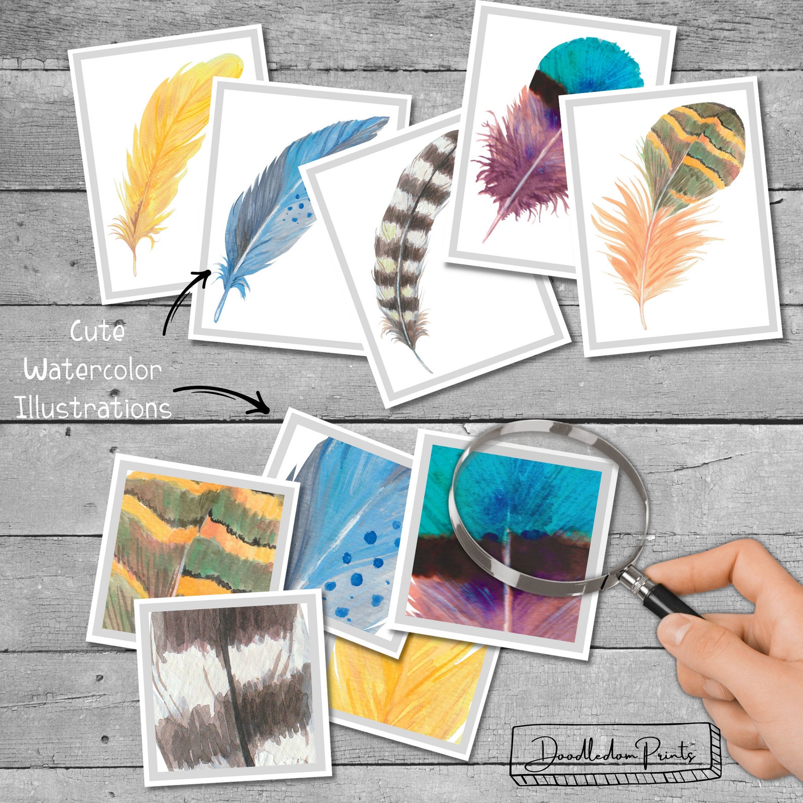 Feather Matching Spring Activity, Montessori Printable Material ...
