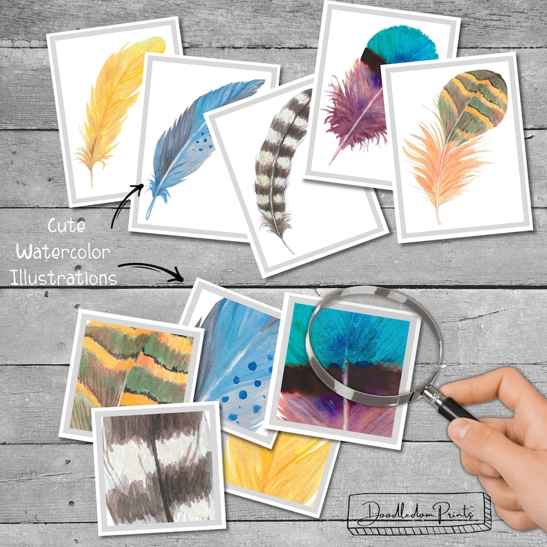 Feather Matching Cards, Montessori Printable Materials, Toddler Pattern ...