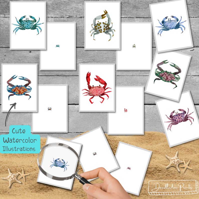 Crabs Matching Activity, Montessori Inspired Crustaceans Printable ...