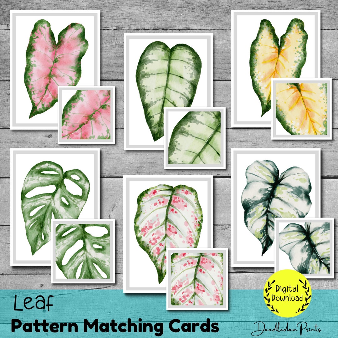 Leaf Matching Activity, Toddler Preschool Leaf Pattern Game, Tropical ...