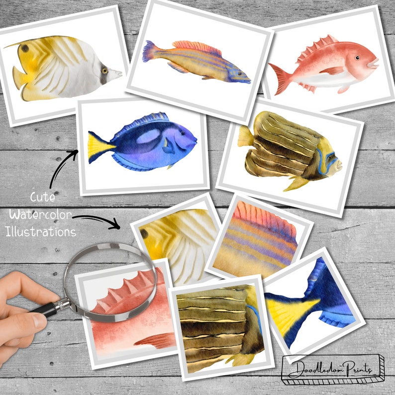 Fish Pattern Matching Activity, Printable Montessori Material, Toddler ...