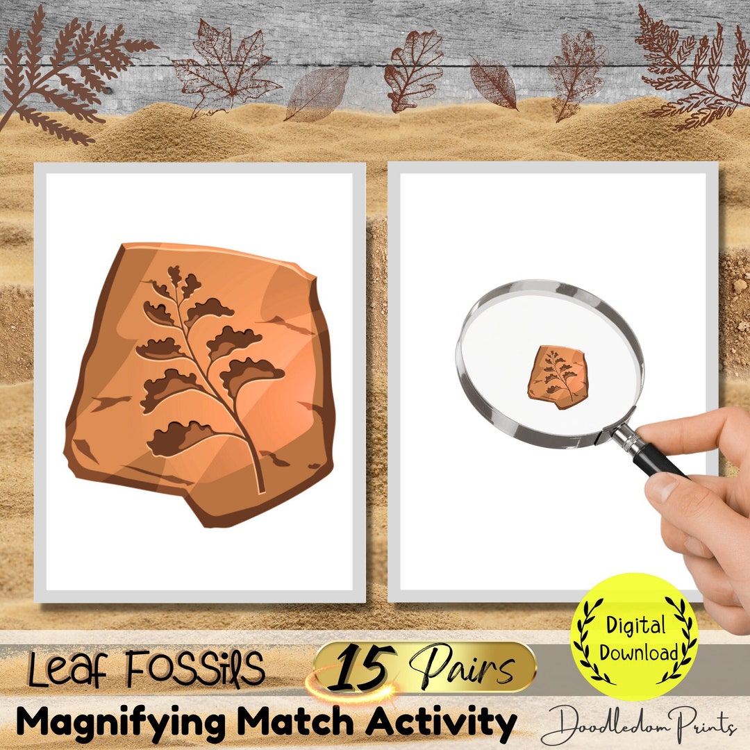 Leaf Fossils Magnifying Match Activity, Montessori Printable Material ...