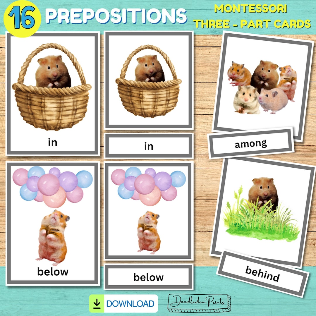 Preposition 3 Part Cards, Montessori Language Arts, Montessori ...